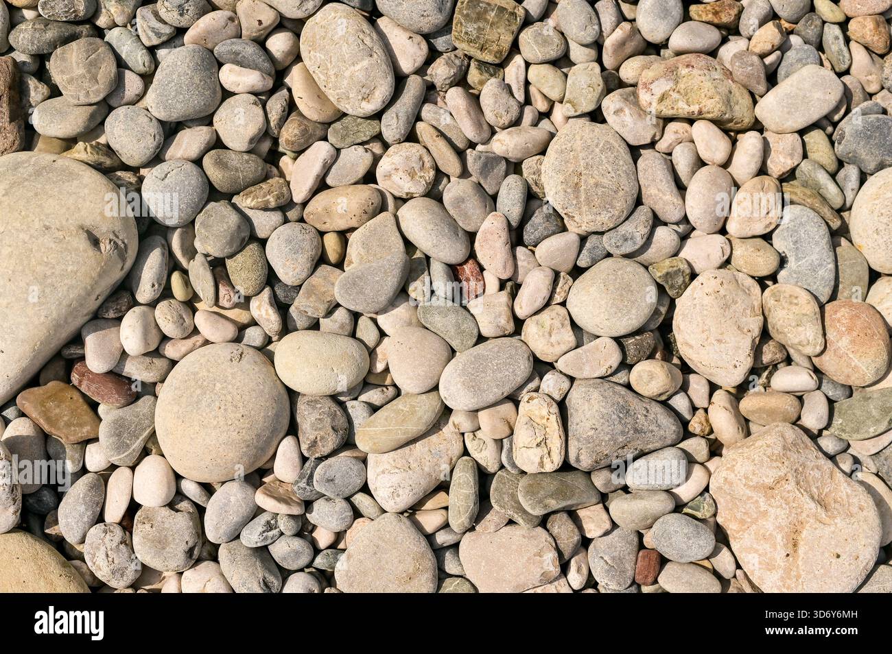 Smooth stones scattered across beach, showing signs of erosion and time ...