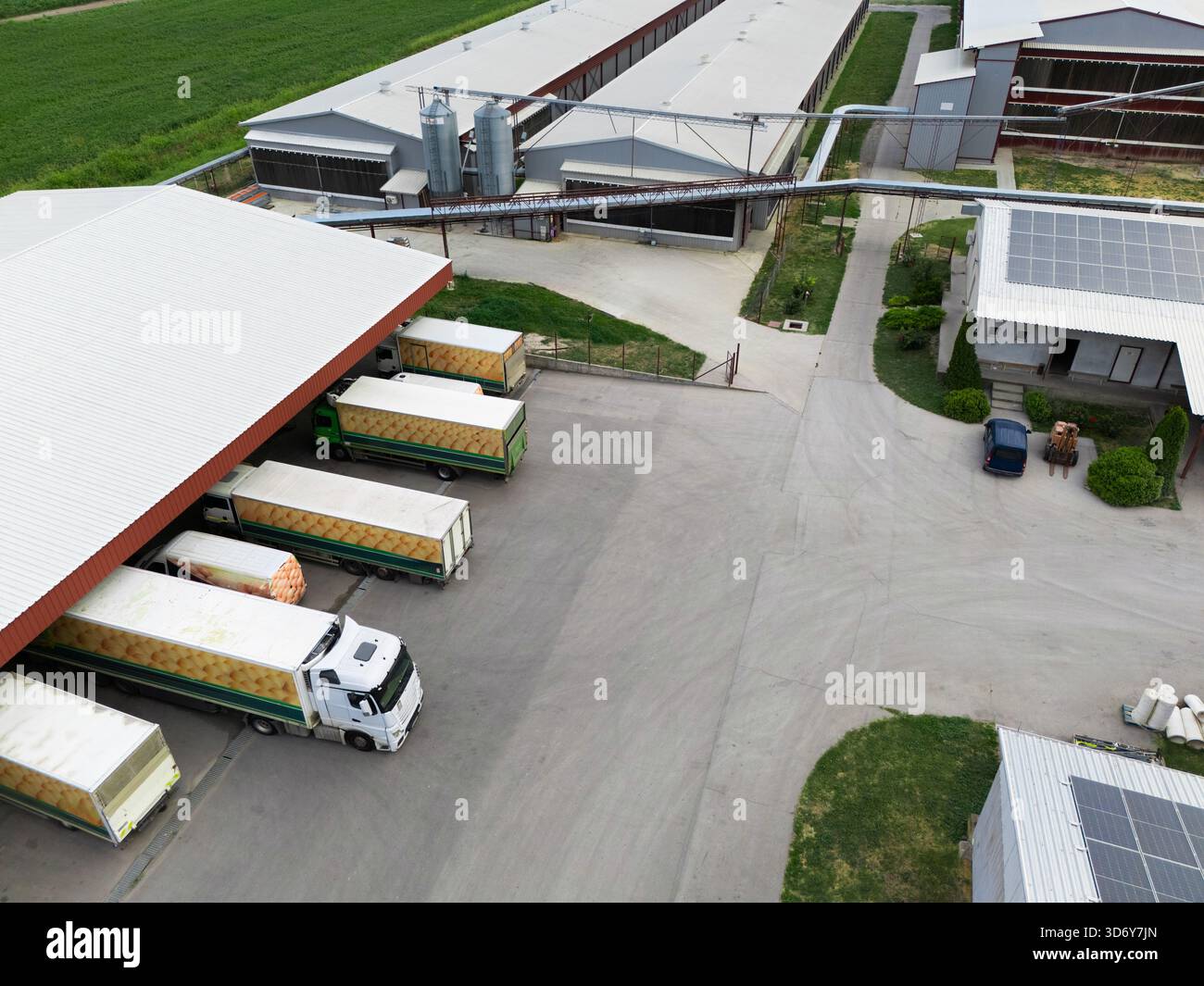Trucks for eggs transportation on a modern poultry farm with solar ...