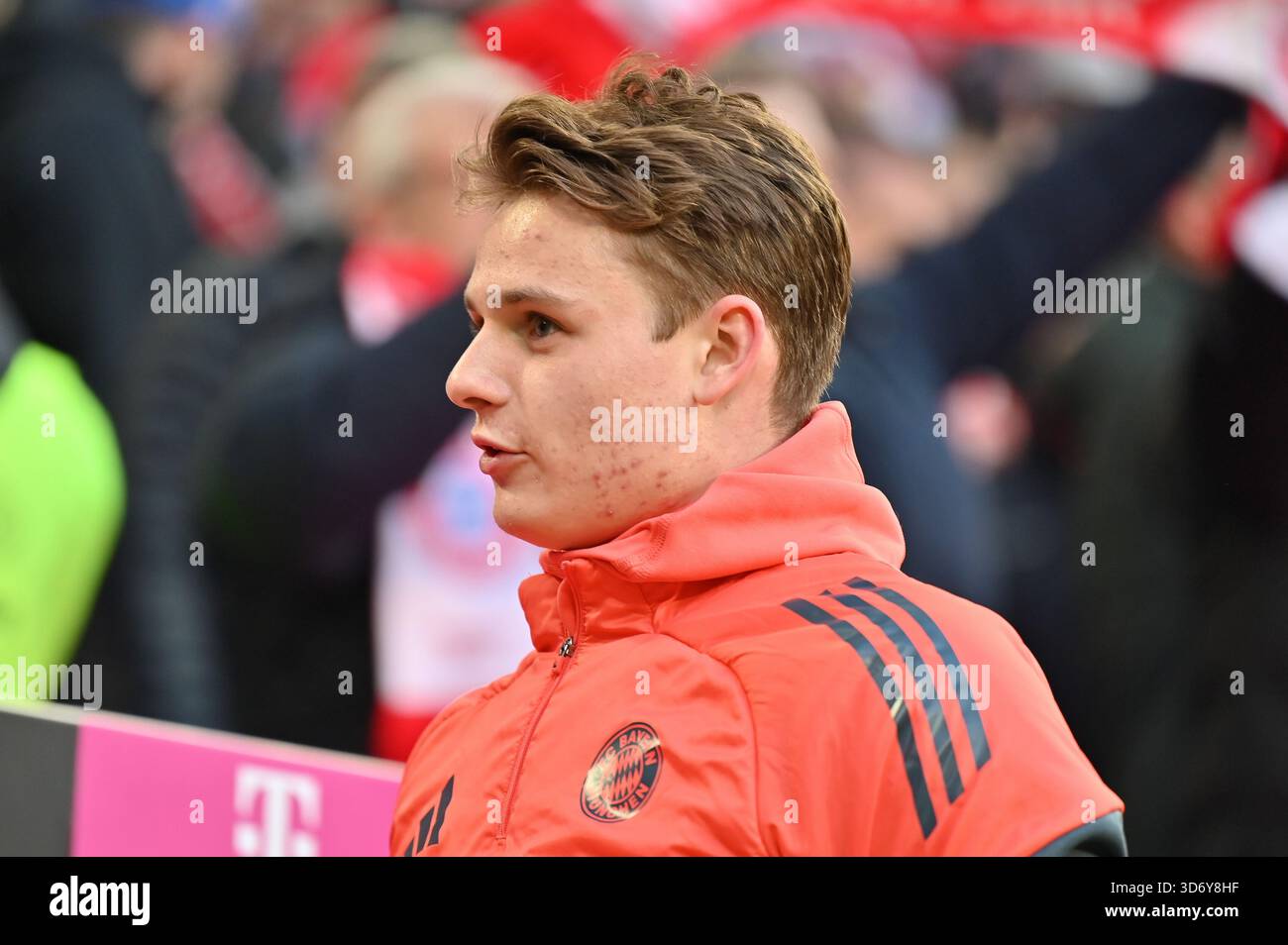 GER, Bavaria, Munich, football, FC FC Bayern Munich - Freiburg, in the ...