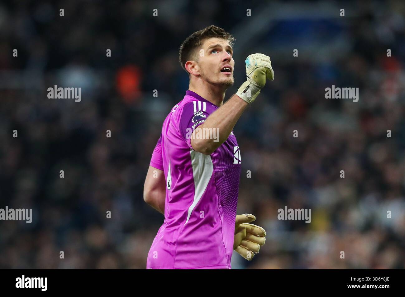 Nick Pope Of Newcastle United celebrates winning during the Newcastle ...