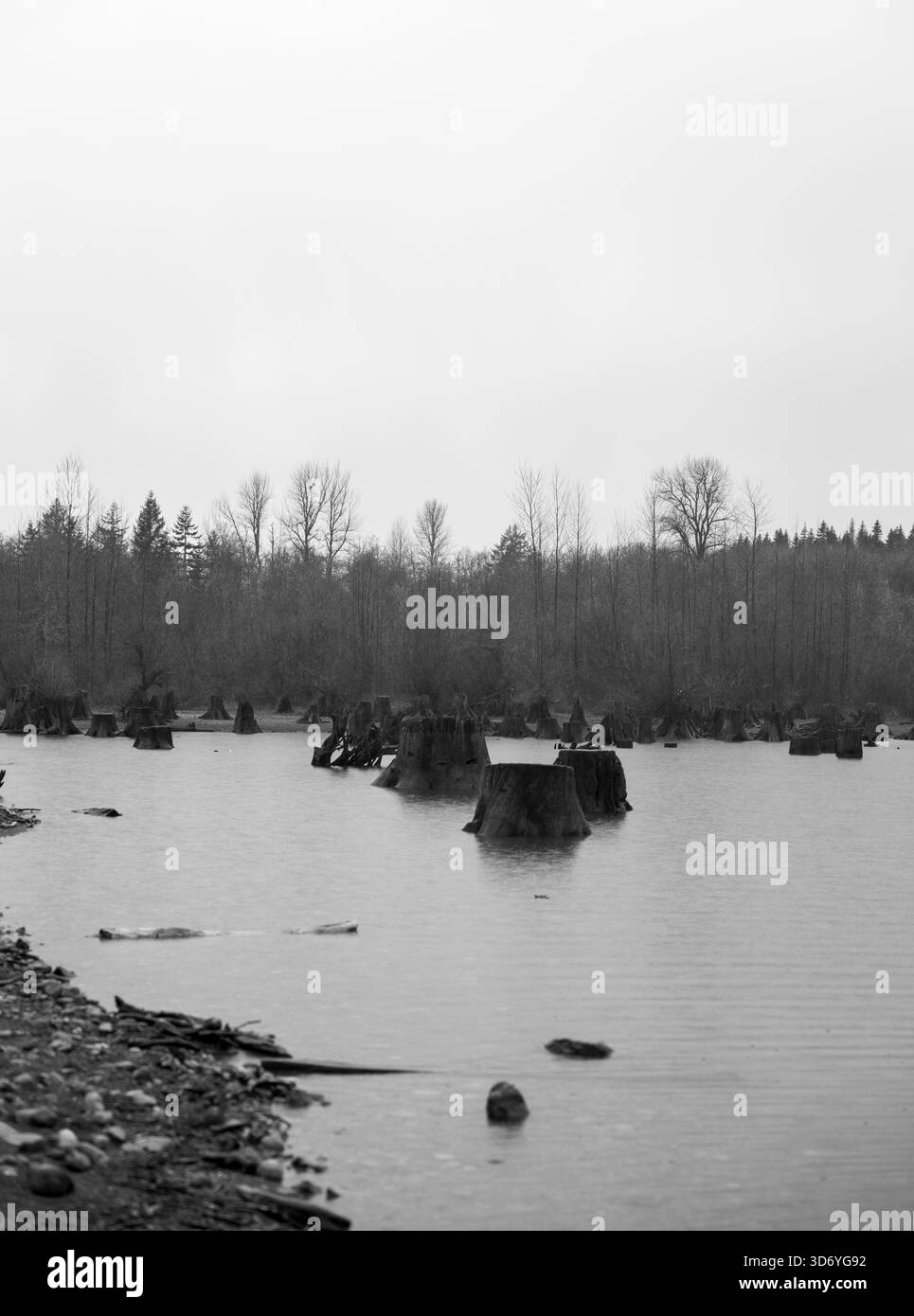 Tourism nature washington Black and White Stock Photos & Images - Alamy