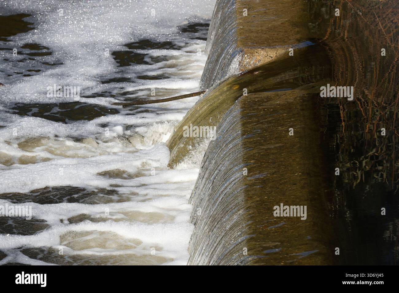 Alameda Creek, where Chinook salmon have been seen for the first time ...