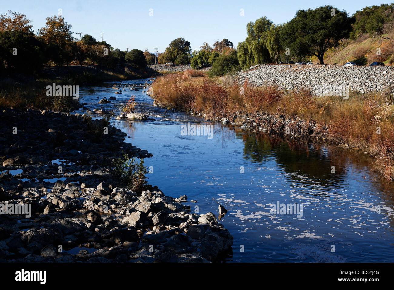 Alameda Creek, where Chinook salmon have been seen for the first time ...