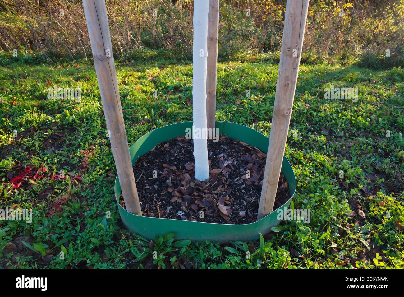 Planting a border spring organic matter hi-res stock photography and ...
