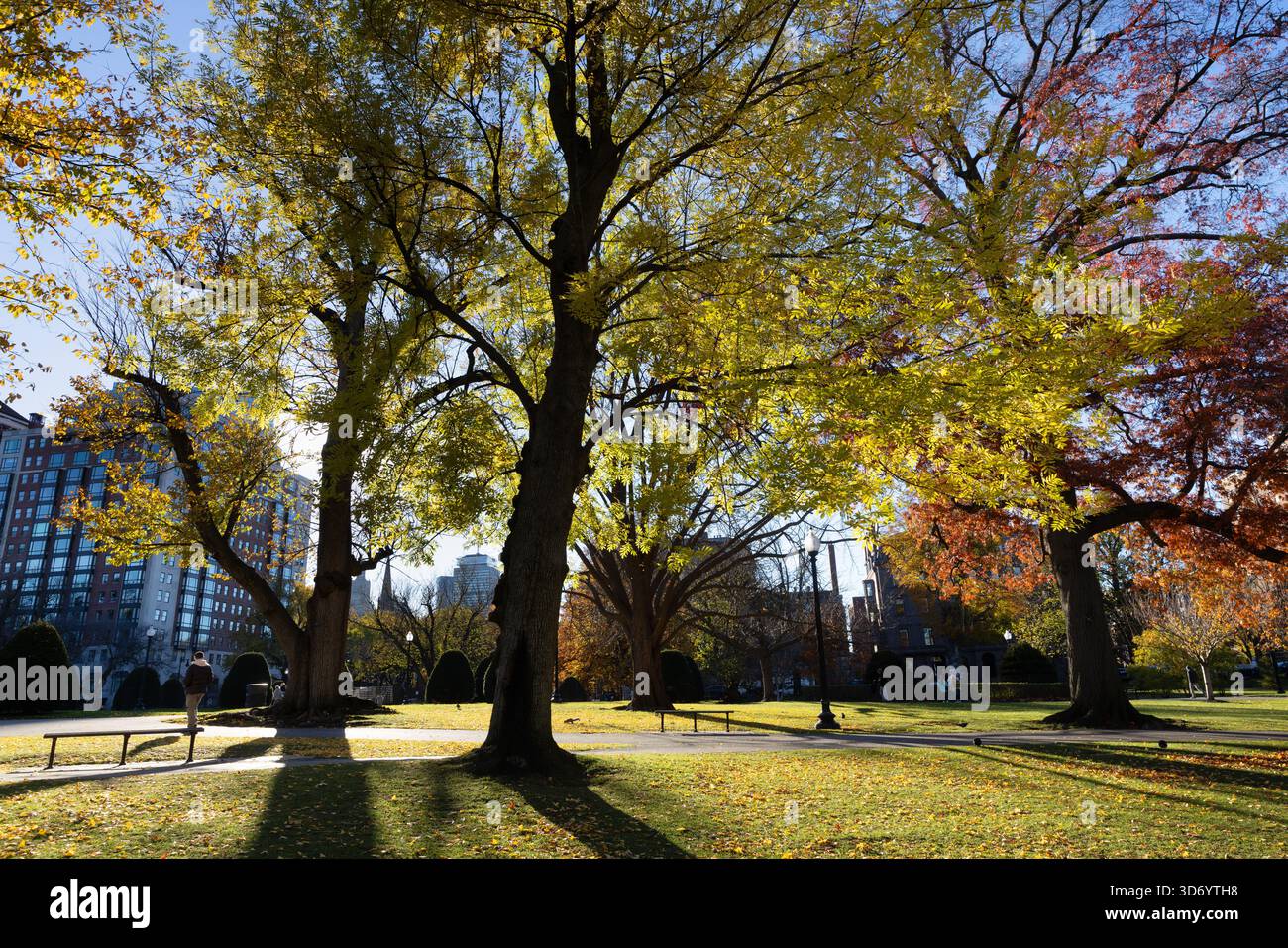 Urban park with trees hi-res stock photography and images - Alamy