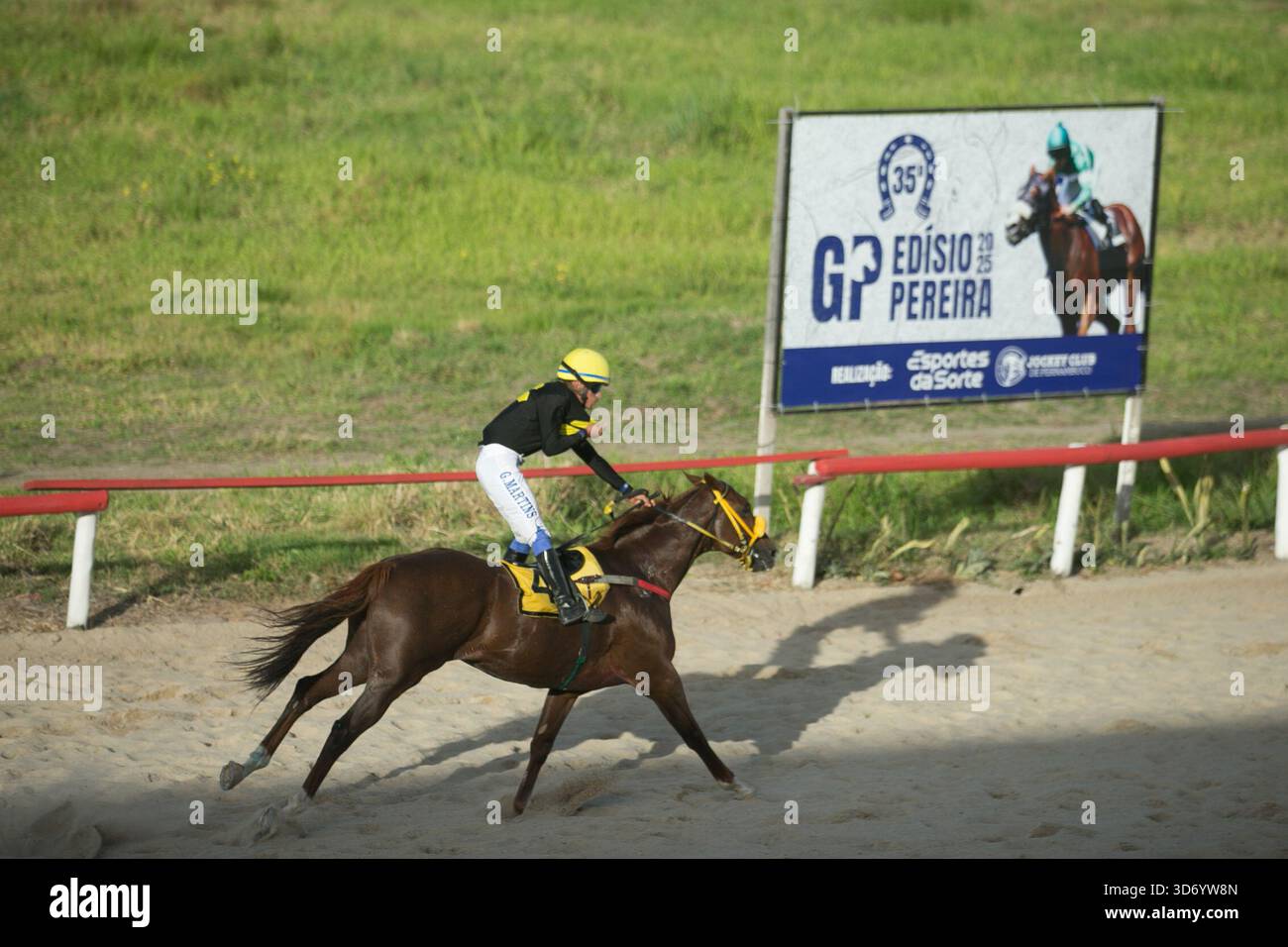 PE - RECIFE - 11/22/2025 - TURF, EDISIO PEREIRA GRAND PRIX 2025 - 35th Edisio Pereira Grand Prix ...