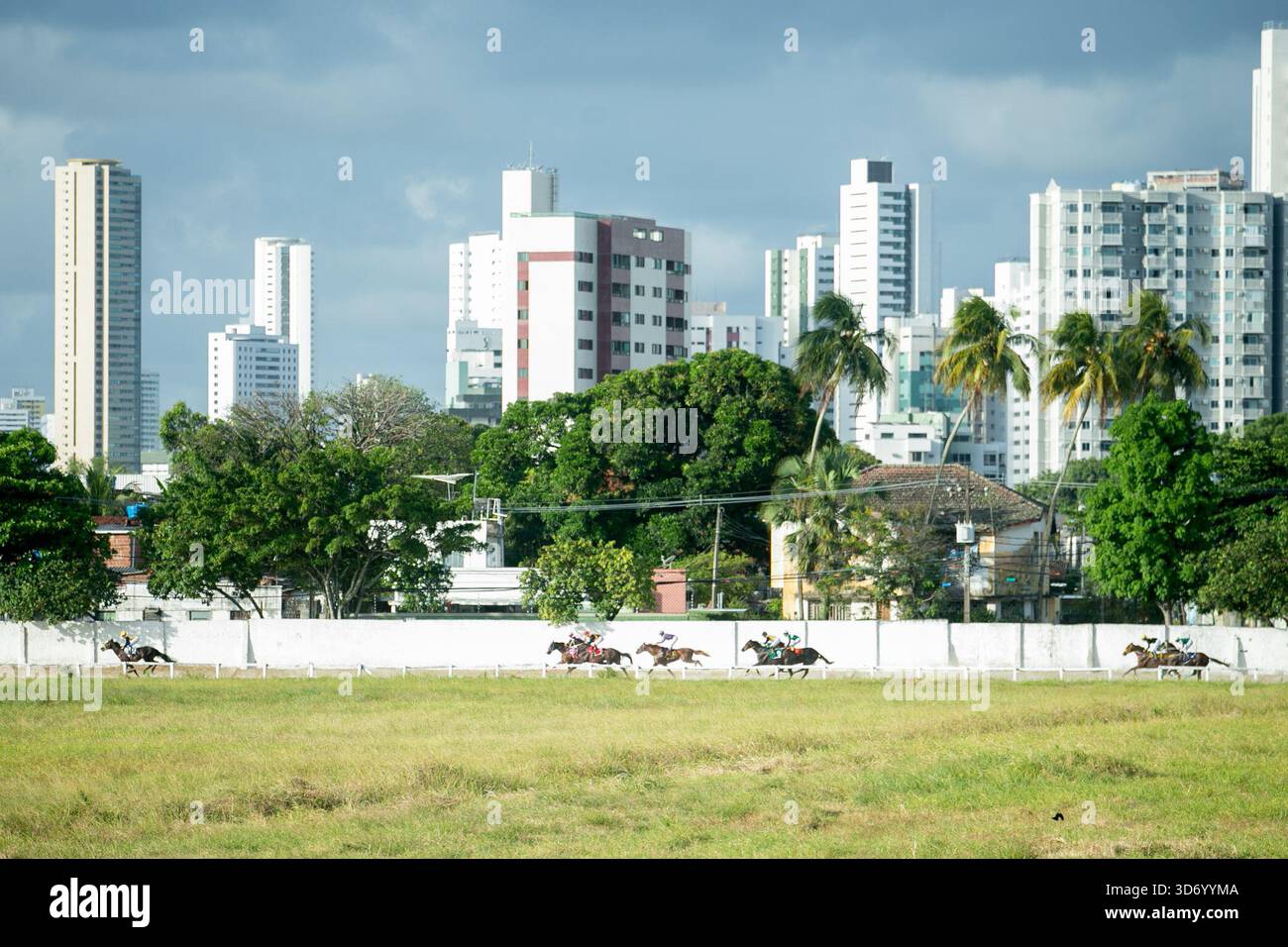 PE - RECIFE - 11/22/2025 - TURF, EDISIO PEREIRA GRAND PRIX 2025 - 35th Edisio Pereira Grand Prix ...