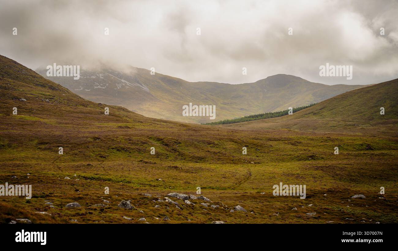 Connemara national park hi-res stock photography and images - Alamy