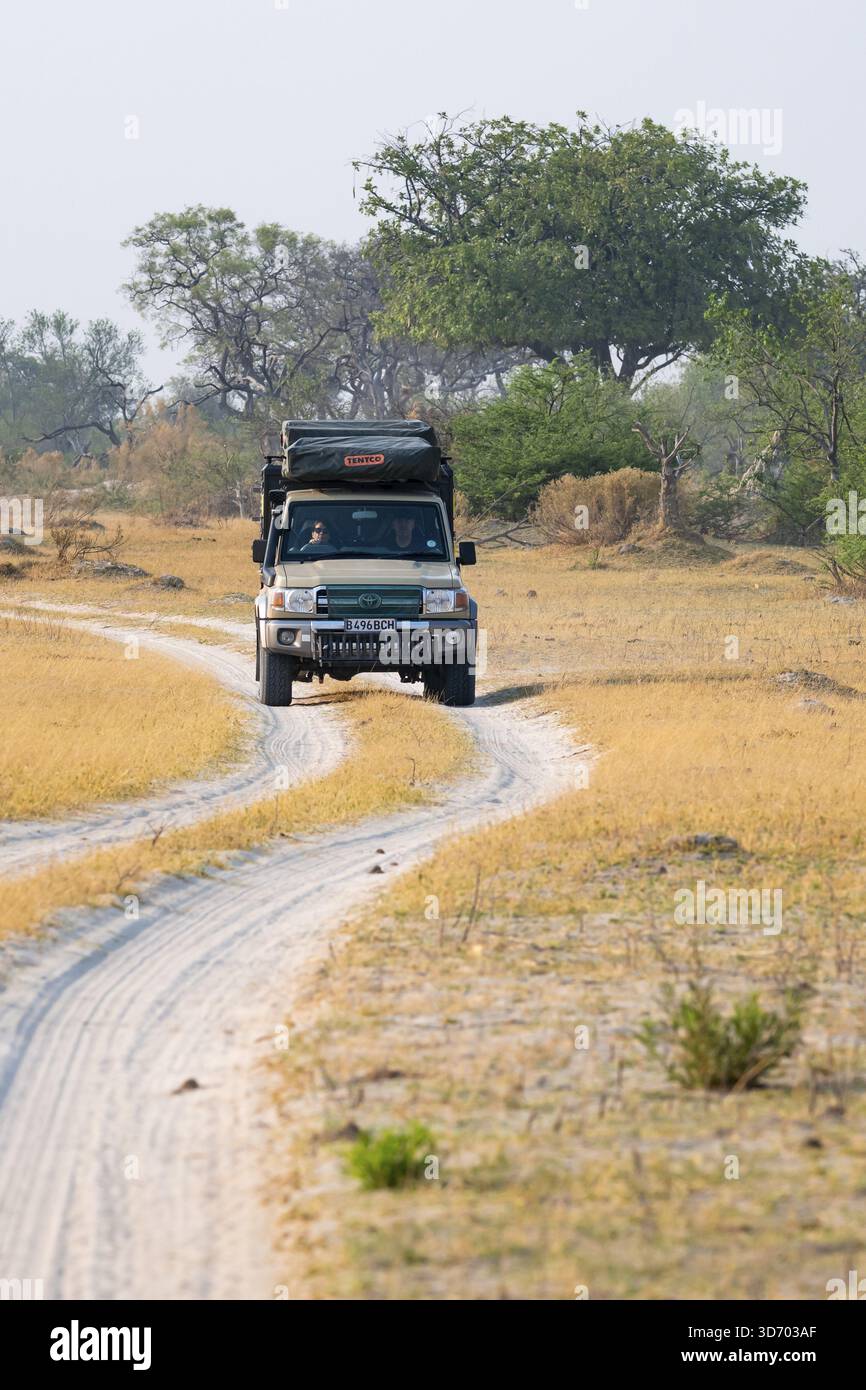 Off-road car, safari car driving on dust road, Third Bridge, Okavango ...