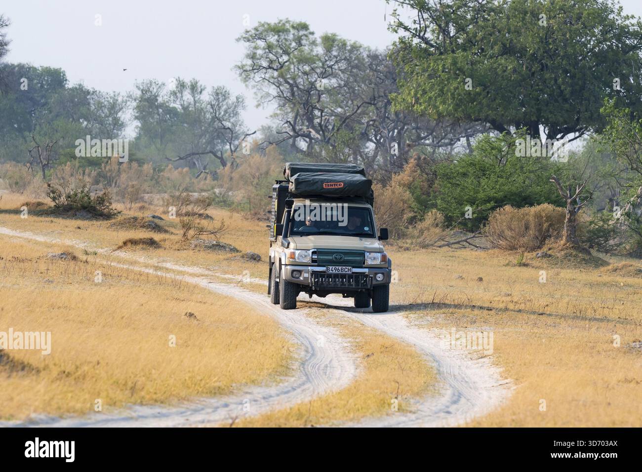 Off-road car, safari car driving on dust road, Third Bridge, Okavango ...