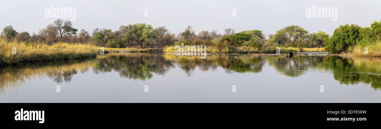 Panorama, landscape on the Kavango River, Zambezi region, Caprivi Strip ...