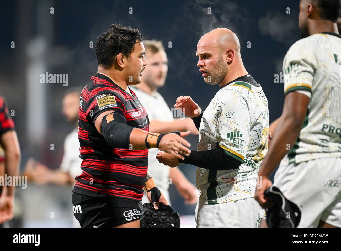 David Ainu'u of Stade Toulousain and Kevin Firmin of Montauban during ...
