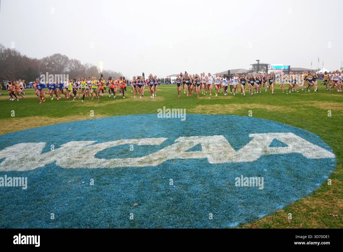 A general overall view of the women's race as runners run over the NCAA ...