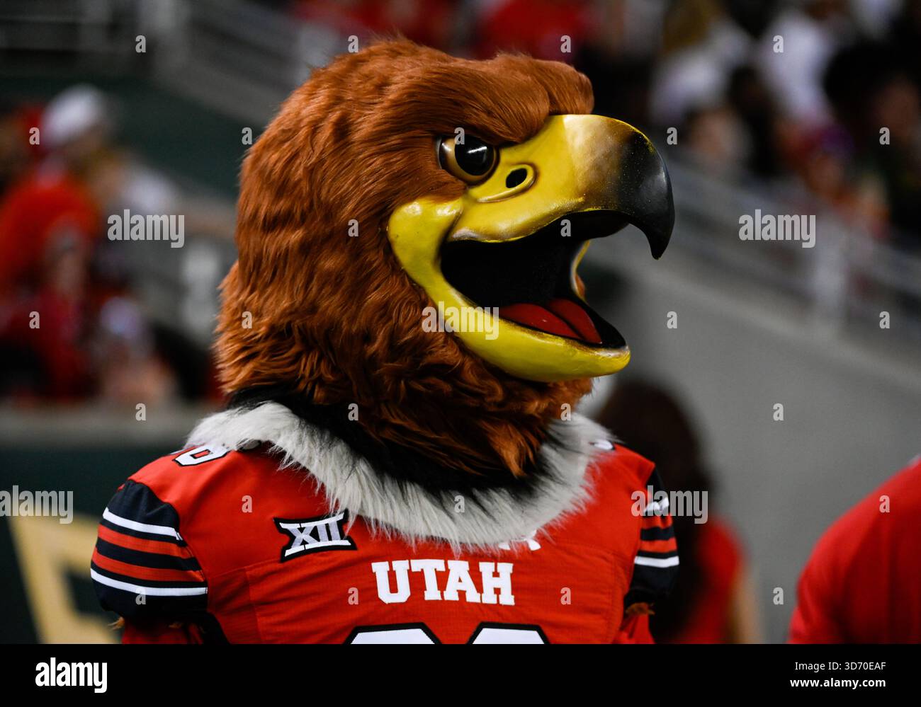 November 15, 2025 Utah Utes mascot during the 1st half of the NCAA ...
