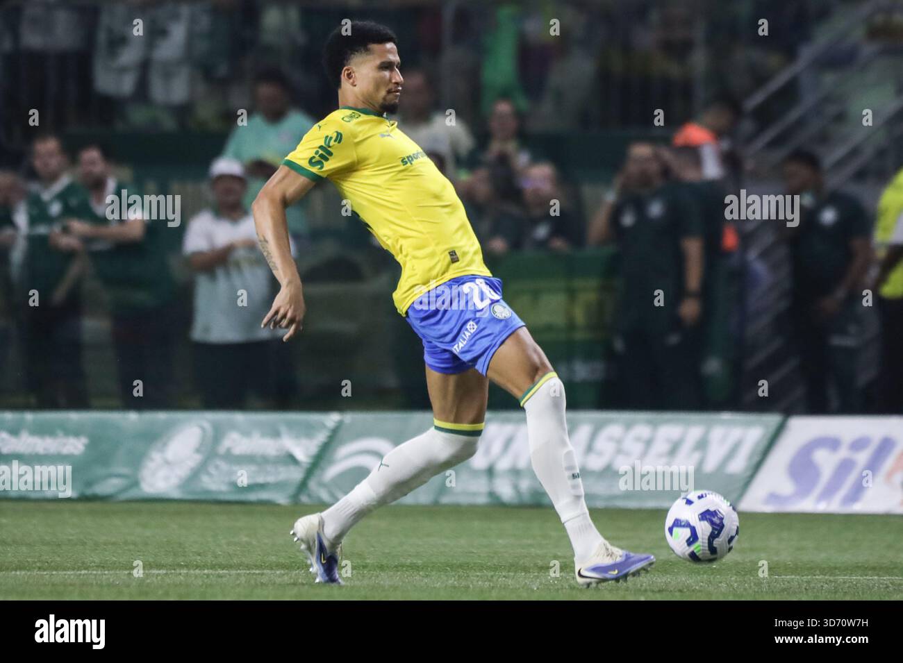 Murilo of Palmeiras during the match against Fluminense for the 35th ...