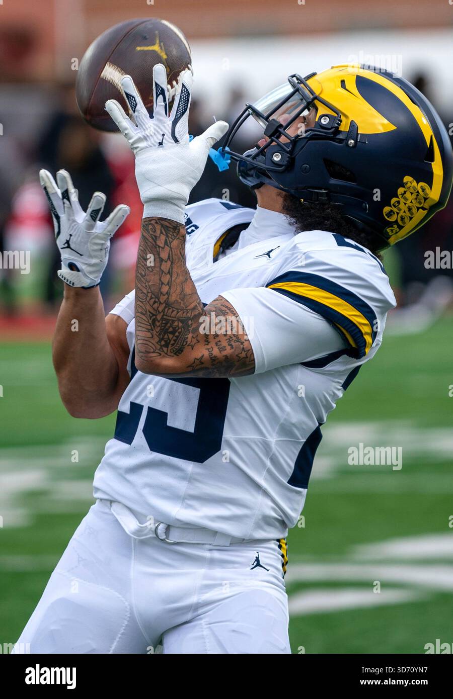 COLLEGE PARK, MD - NOVEMBER 22: Michigan Wolverines running back Jordan ...