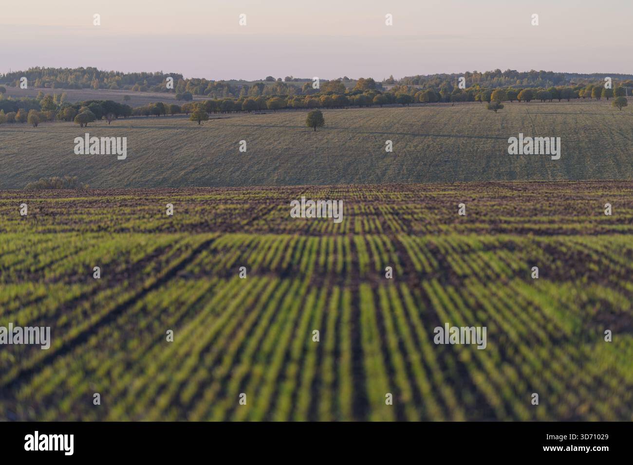 Sustainable farming fields flourish in hi-res stock photography and ...