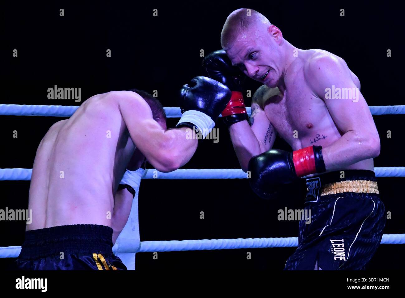 Ljubljana, Slovenia, November 22th 2025, Aljaz Sircelj of Slovenia (R ...