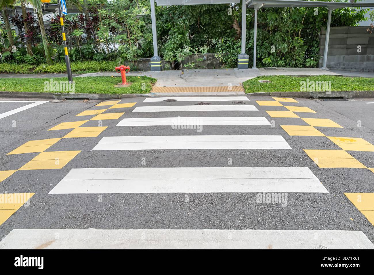 Urban street intersection with pedestrian crossing lines, traffic ...