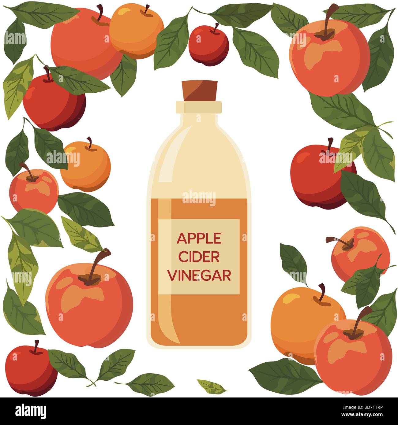 Cider apple crop Stock Vector Images - Alamy