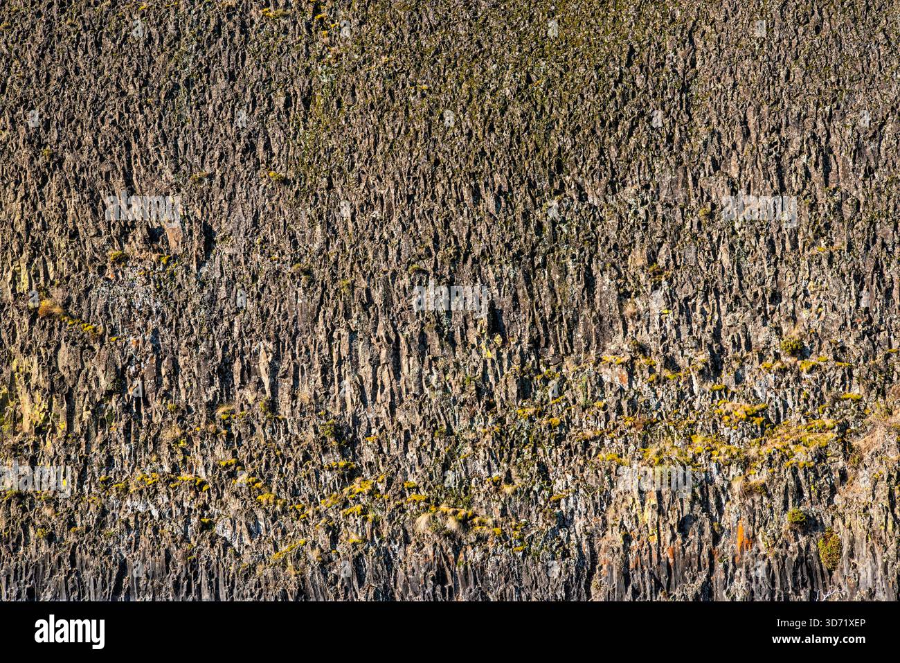 Basalt rock outcrops over South Fork Crooked River, Crooked River Natl ...
