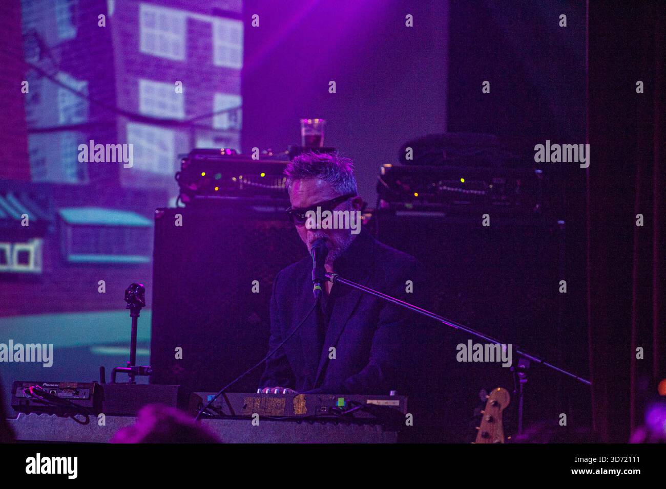 Brian Leiser - bassist and keyboards, harmonica, trumpet of the fun ...