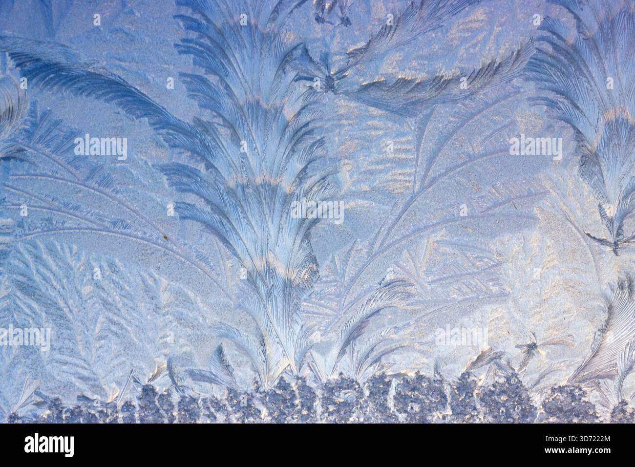 A sharp winter frost leaves an abstract pattern of ice crystals on the ...