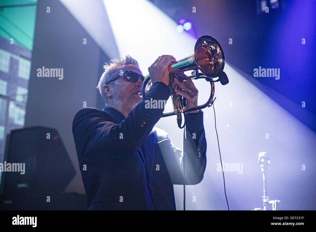Brian Leiser - bassist and keyboards, harmonica, trumpet of the fun ...