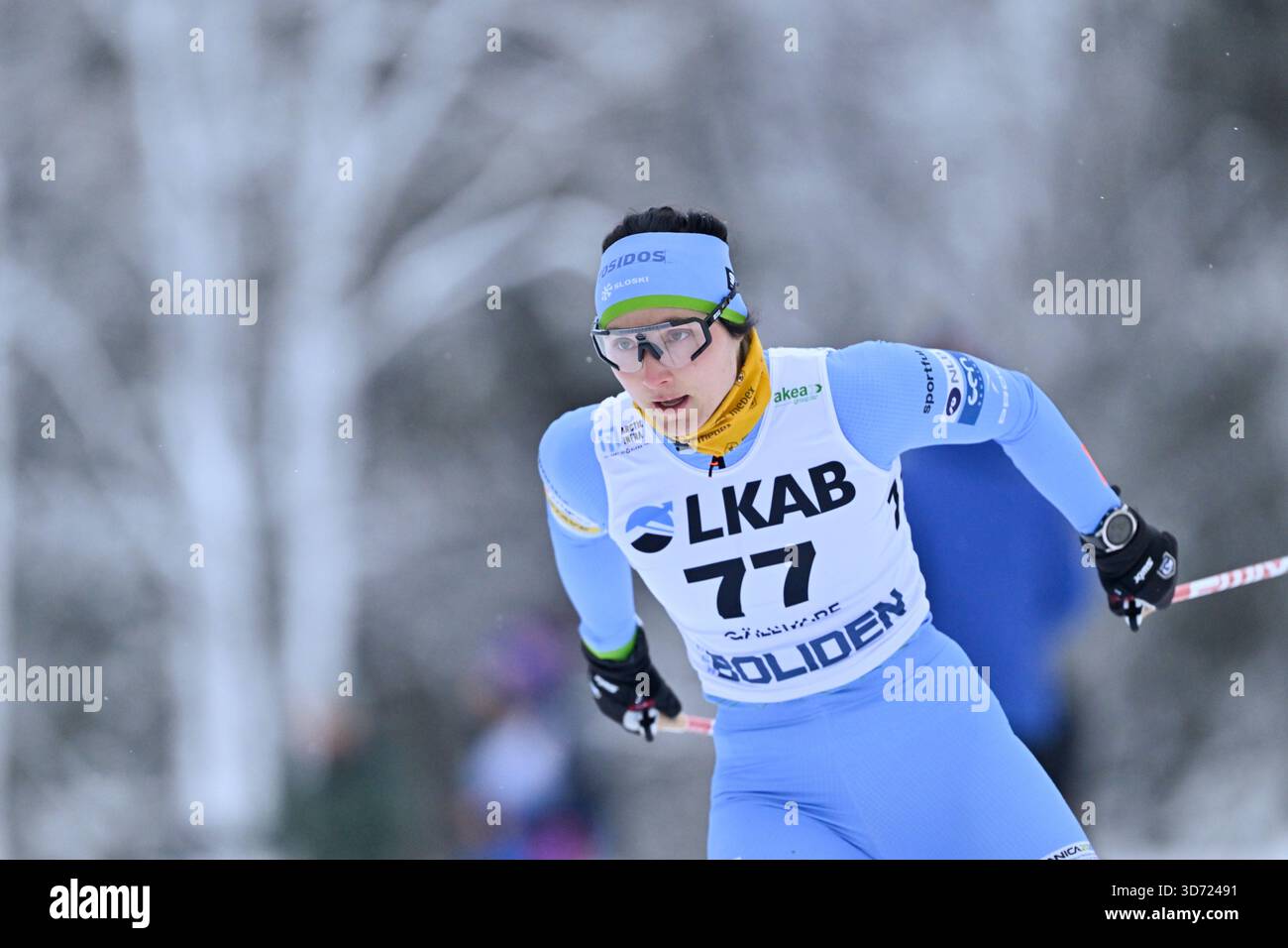GÄLLIVARE, SWEDEN 20251123Slovenia's Eva Urevc, SD Gorje, during the ...