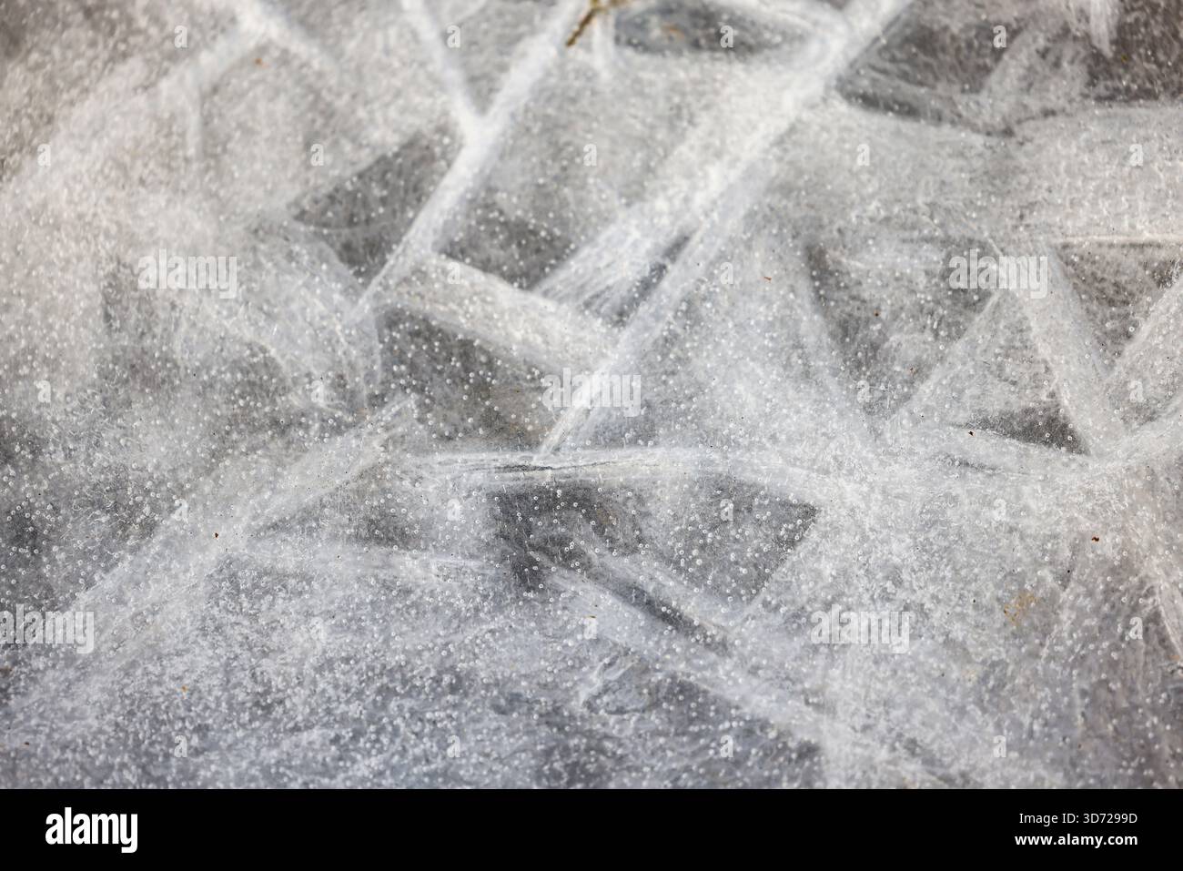 23 November 2025, North Rhine-Westphalia, Hellenthal: A layer of ice ...