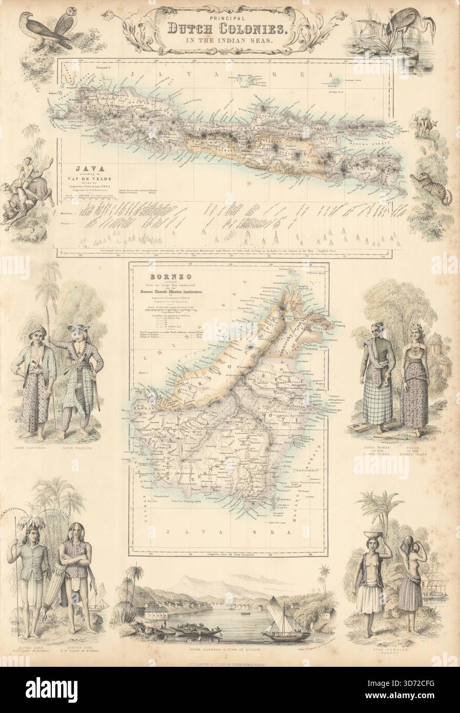 Principal Dutch Colonies in the Indian Seas. Java & Borneo. Indonesia ...
