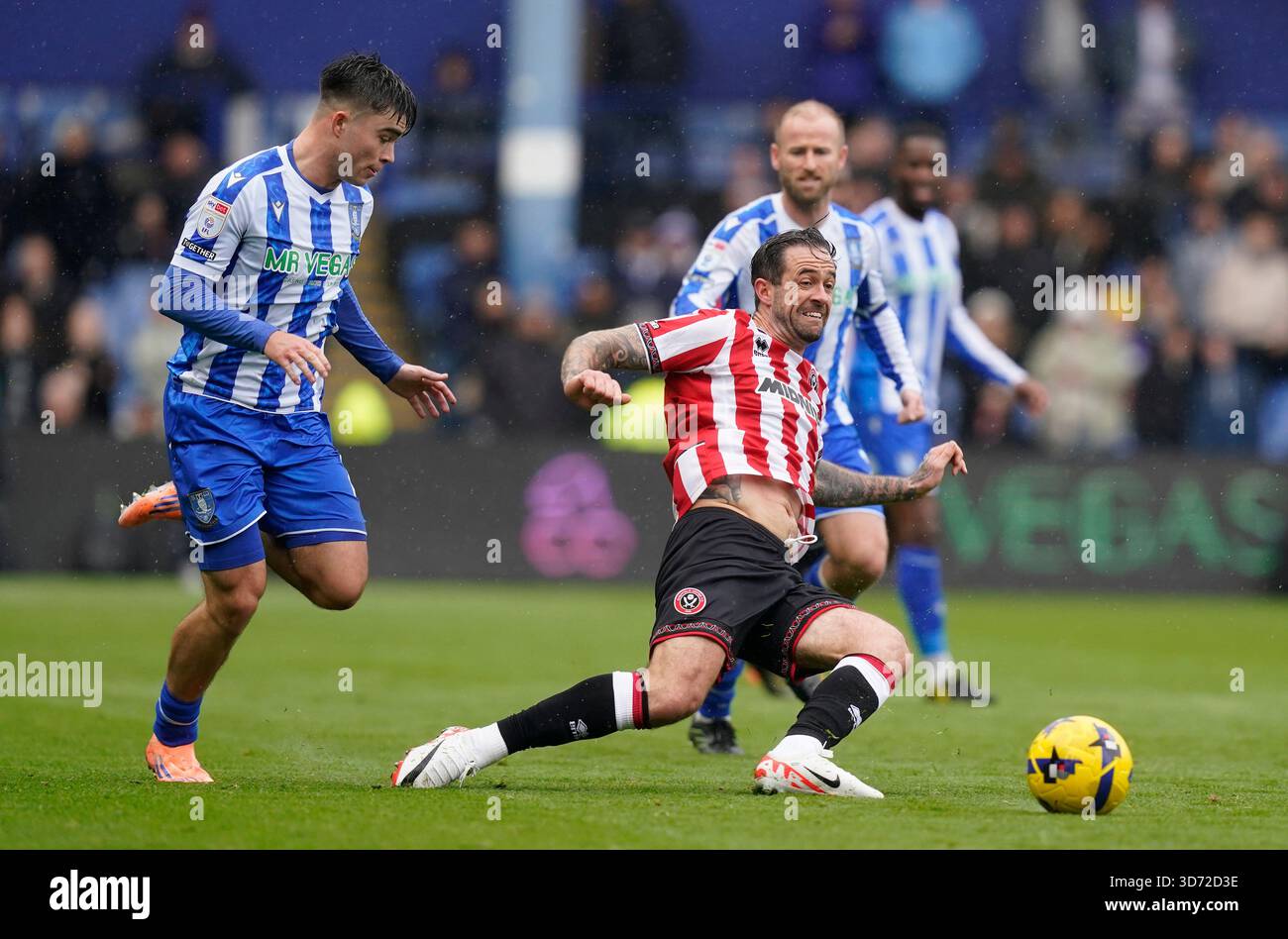 Sheffield wednesday harry amass hi-res stock photography and images - Alamy