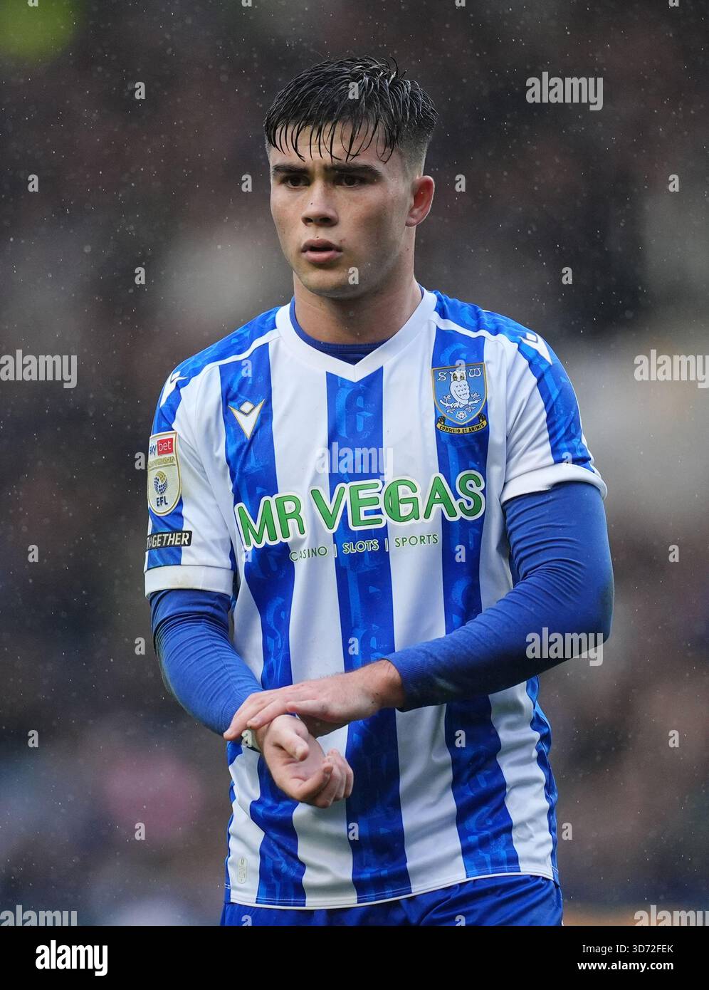 Sheffield Wednesday's Harry Amass during the Sky Bet Championship match ...