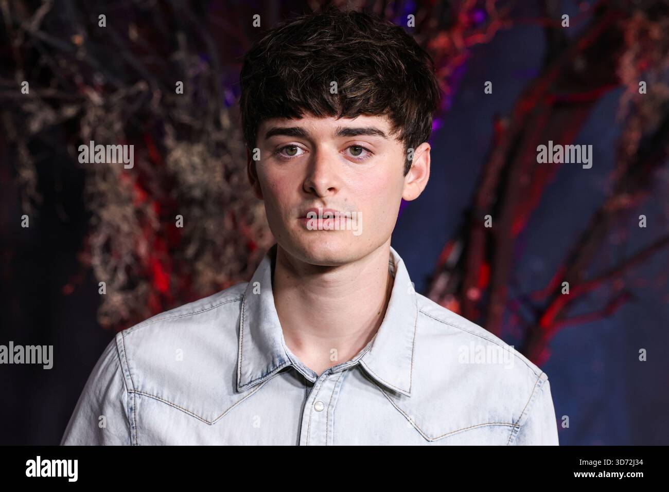 Noah schnapp stranger things 5 hi-res stock photography and images - Alamy