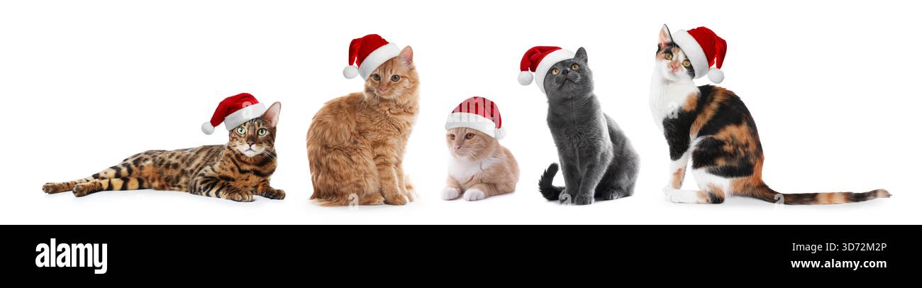 Adorable baby in santa Cut Out Stock Images & Pictures - Alamy