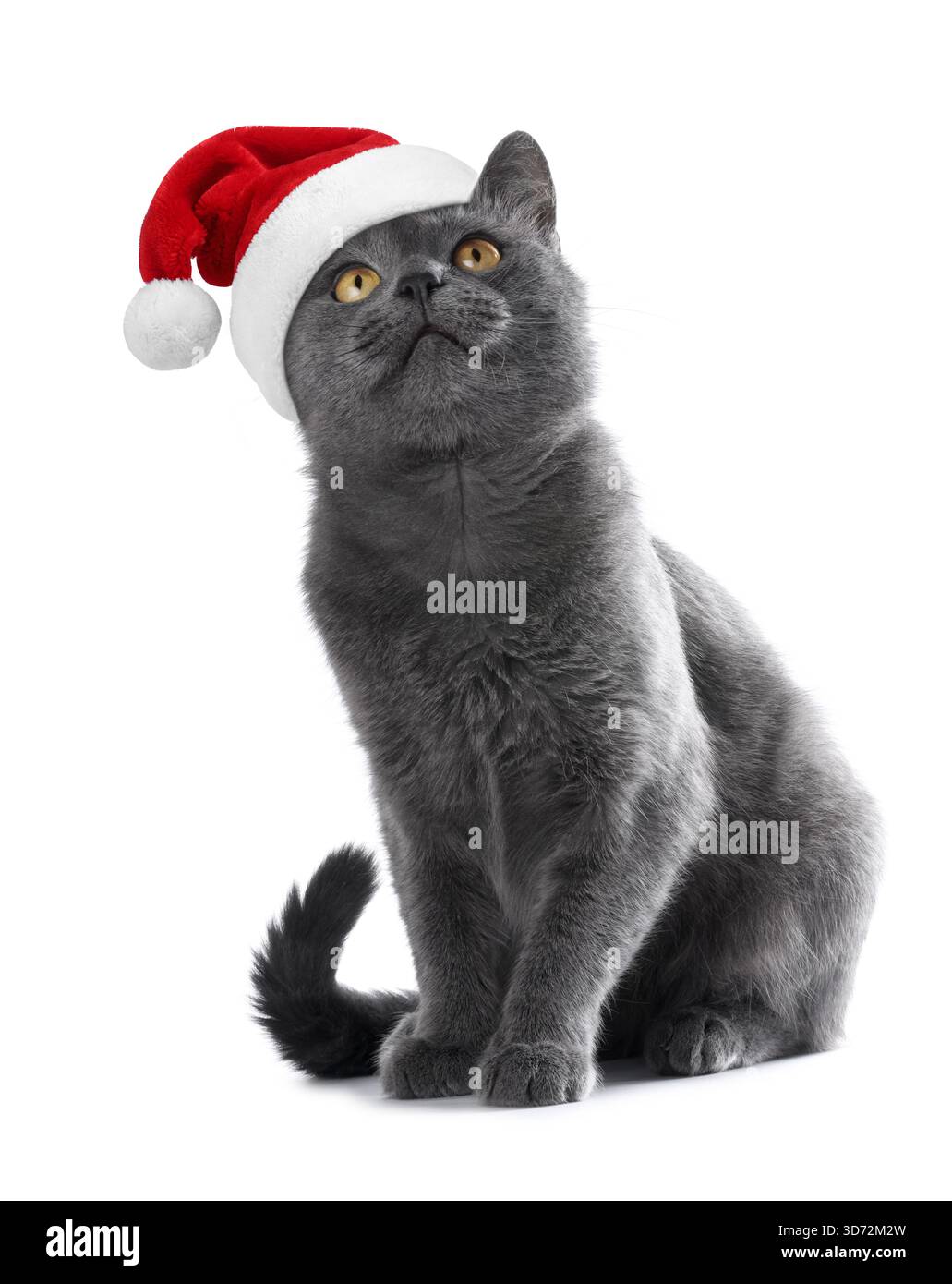 Background for nature ad Cut Out Stock Images & Pictures - Alamy