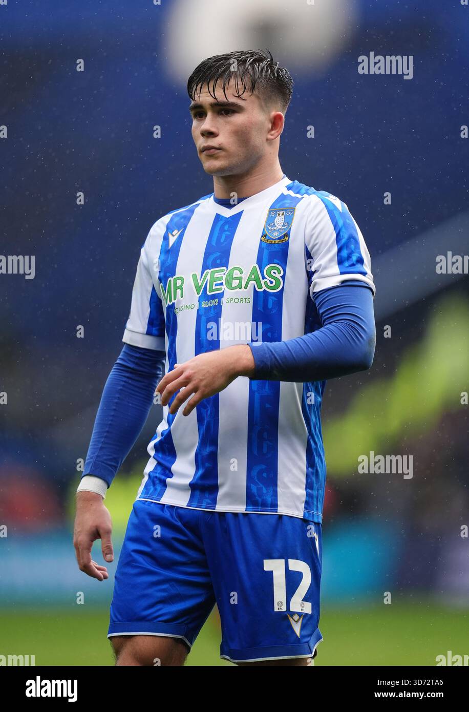 Sheffield Wednesday's Harry Amass during the Sky Bet Championship match ...