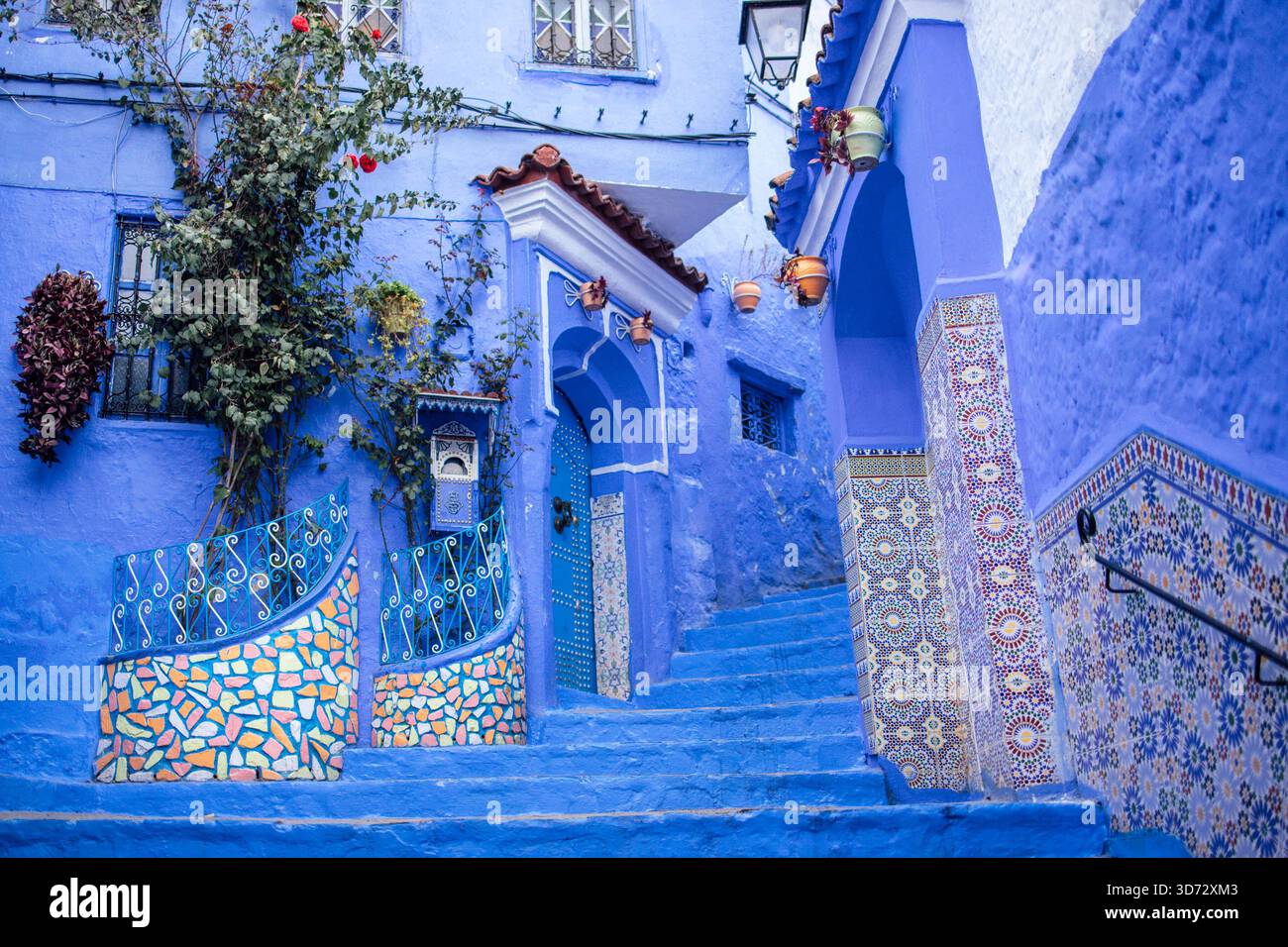 Chefchaouen, the city of blue houses in Morocco. Stunning blue ...