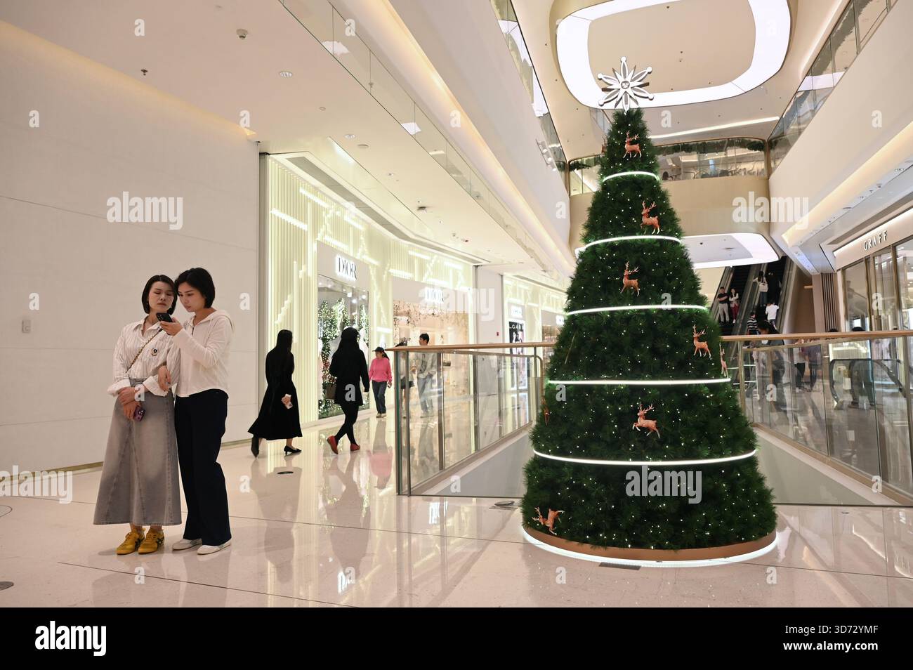 A general view showing the Christmas tree decoration display at the ...