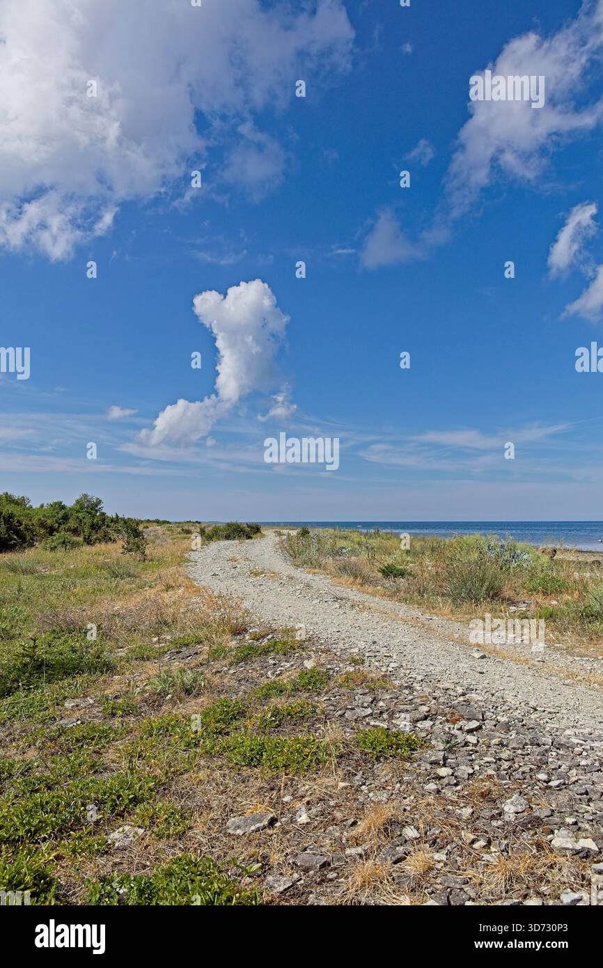 Path made light colored hi-res stock photography and images - Alamy