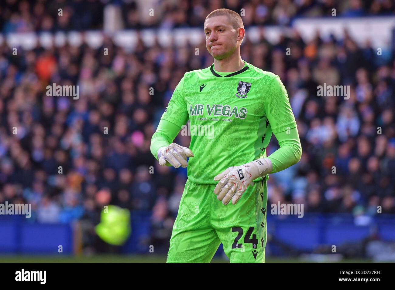Sheffield wednesday ethan horvath hi-res stock photography and images ...