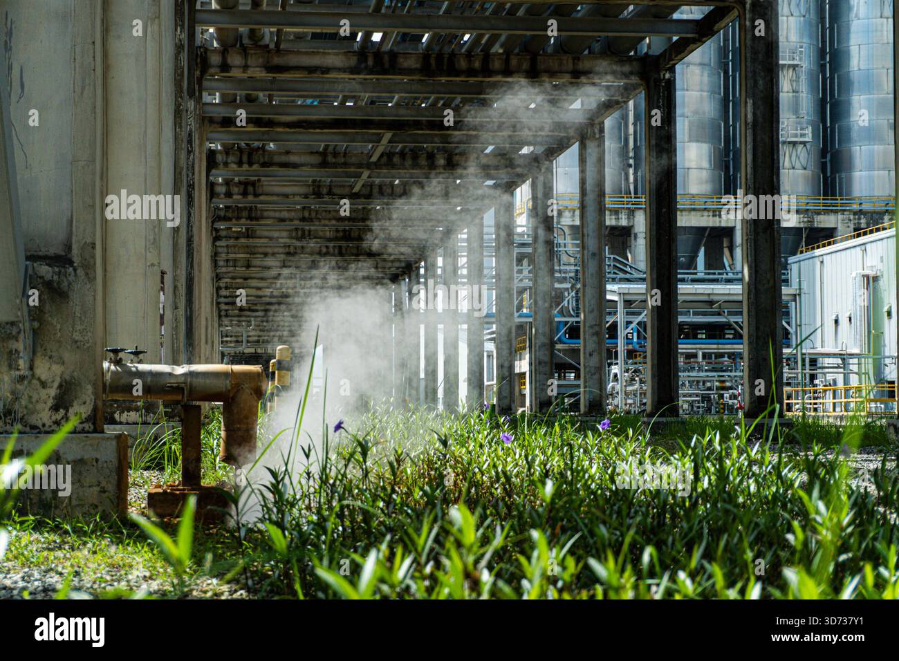 Steam rises from piping hi-res stock photography and images - Alamy