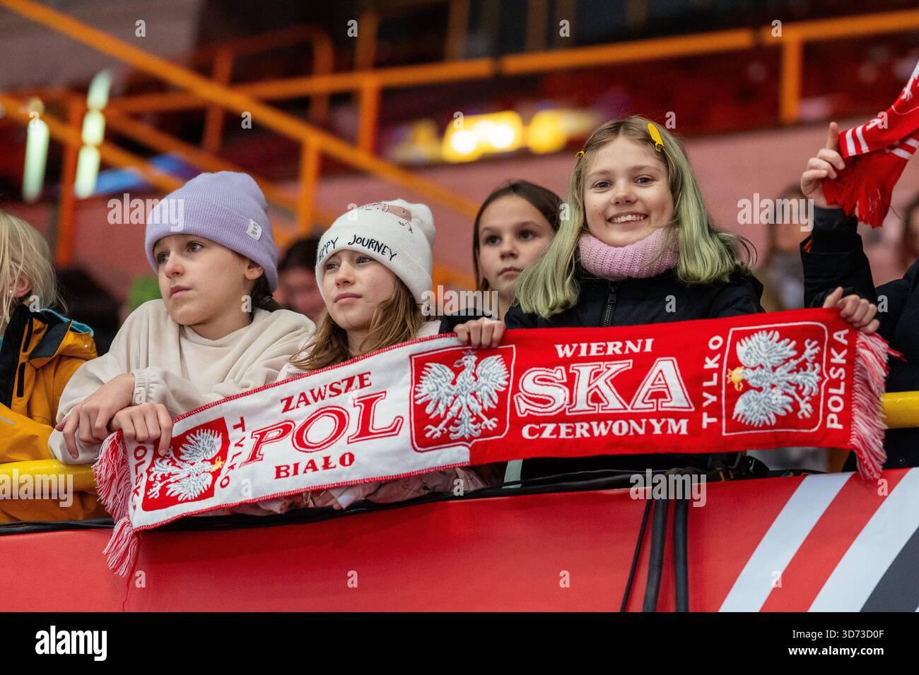 GDANSK, POLAND - NOVEMBER 20: Polish fans during the ISU Short Track ...
