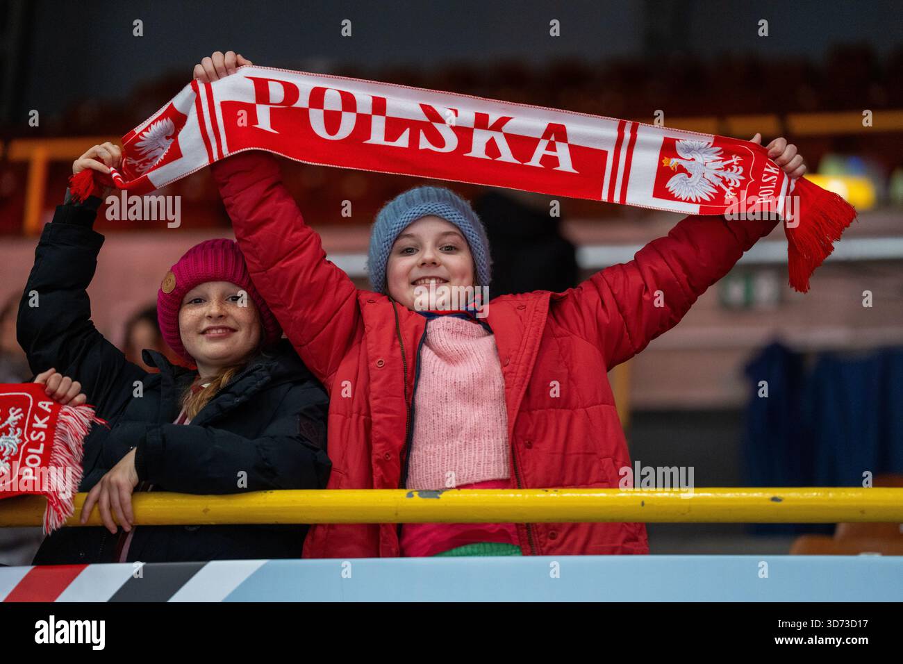 GDANSK, POLAND - NOVEMBER 20: Polish fans during the ISU Short Track ...