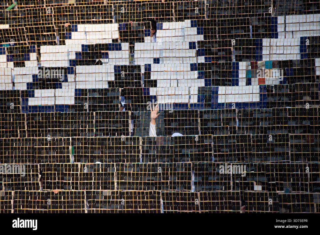 The students teamed up to perform card stunts on grandstand at the 31st ...