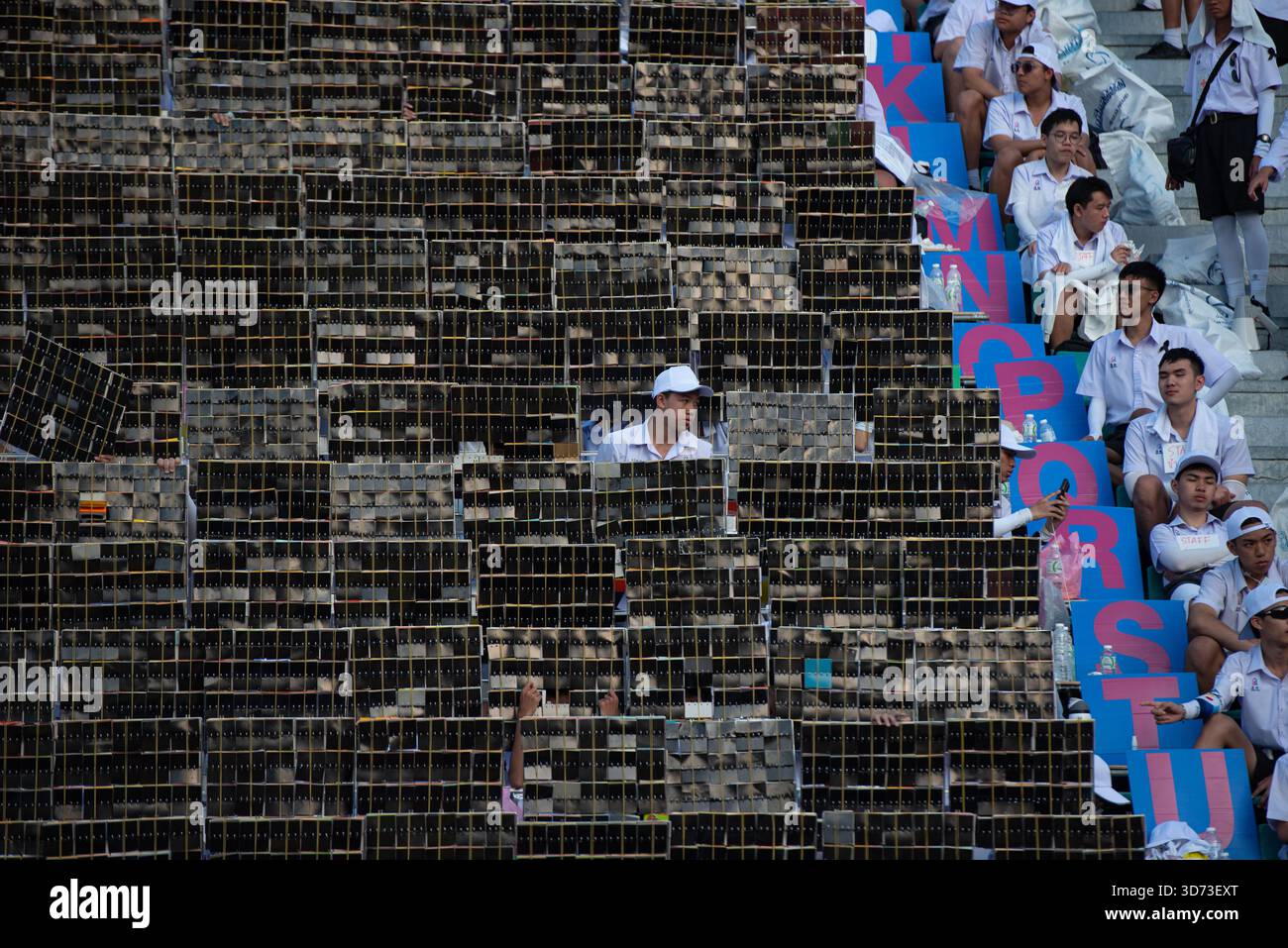 The students teamed up to perform card stunts on grandstand at the 31st ...
