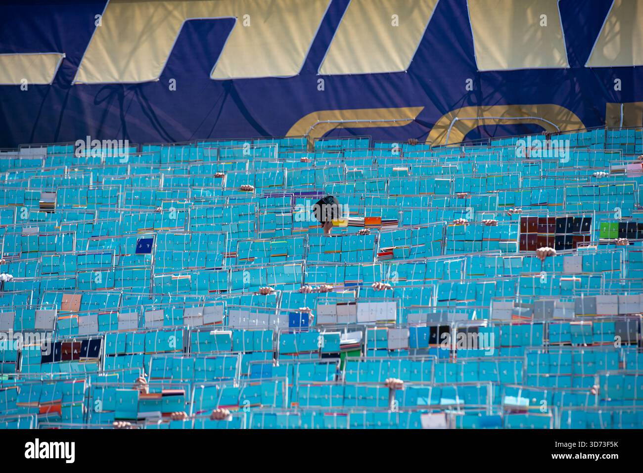 The students teamed up to perform card stunts on grandstand at the 31st ...