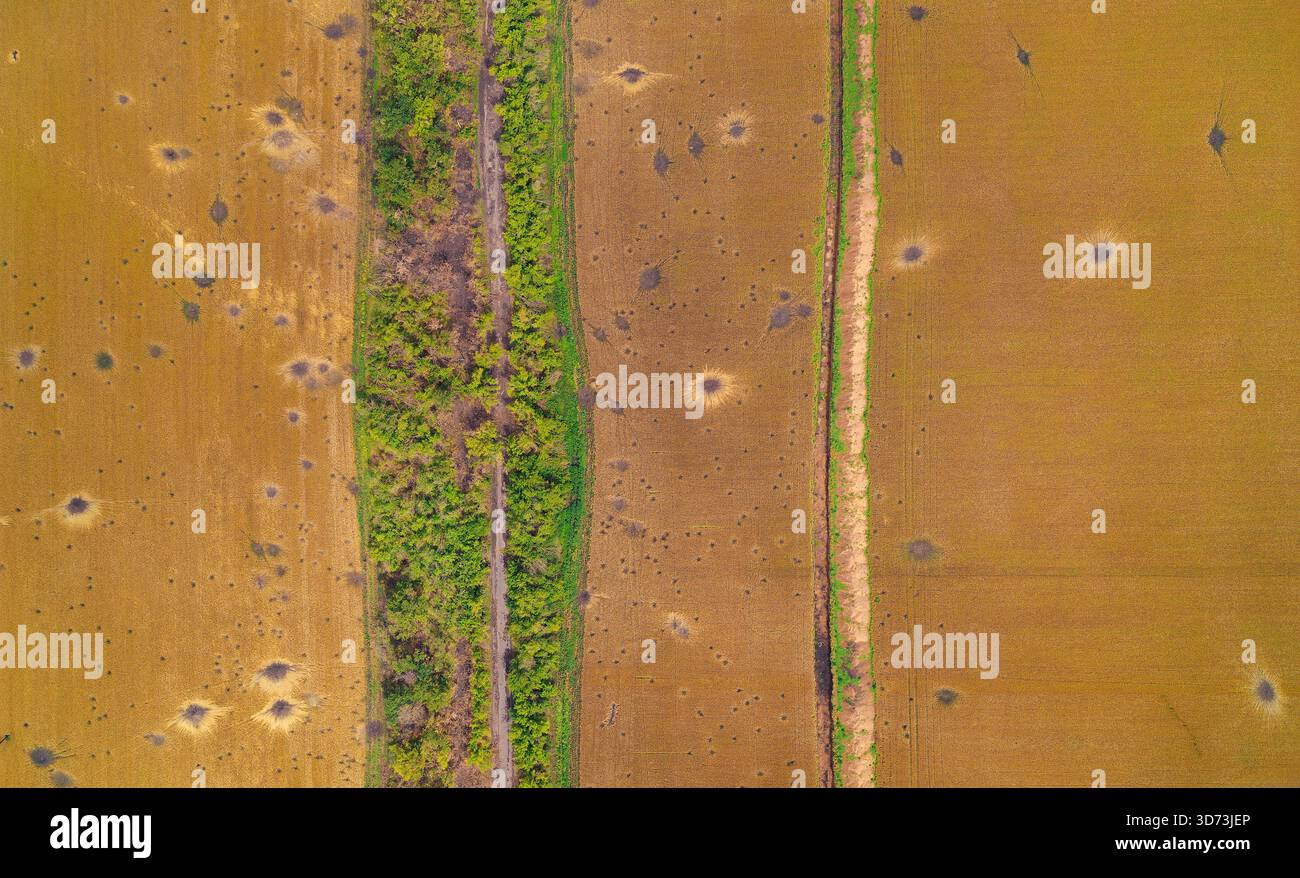 High-angle aerial view of a dry agricultural field with multiple shell ...