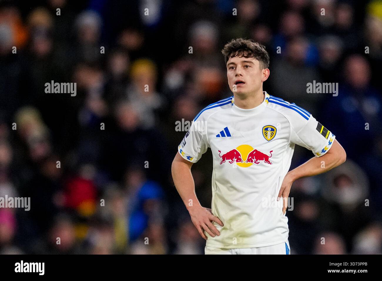 LEEDS, ENGLAND - NOVEMBER 23: Daniel James of Leeds United looks on ...