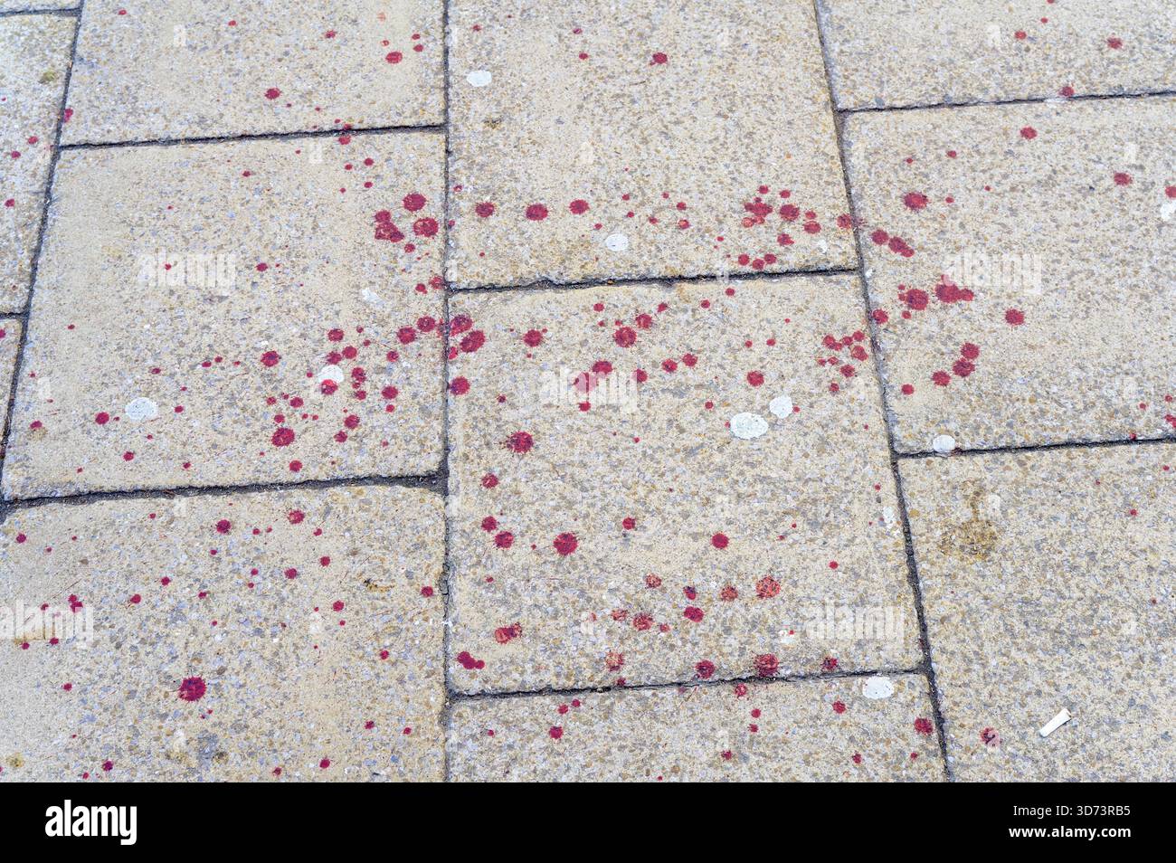 Spots of blood on a pavement, UK Stock Photo - Alamy